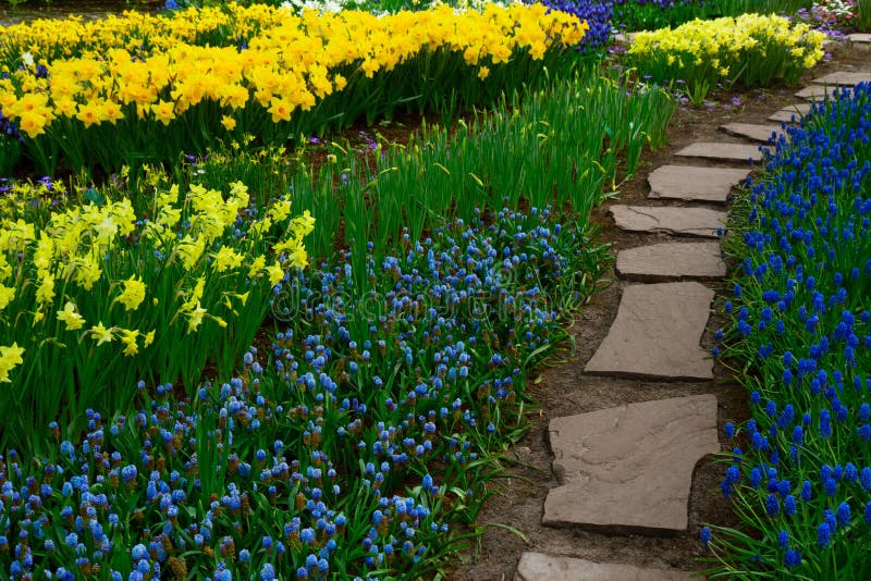 Formal spring garden stock photo. Image of beauty, floral - 205523734