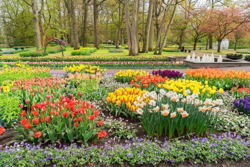 Formal spring garden stock image. Image of lisse, beauty - 84986415