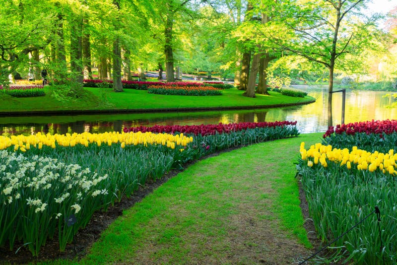 Formal spring garden stock image. Image of gardens, green - 125697469