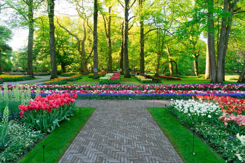 Formal spring garden stock image. Image of dutch, field - 198361613