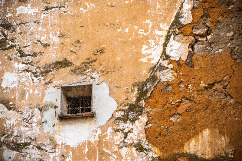 Formas Naturales Como Fondos Foto de archivo - Imagen de exterior ...