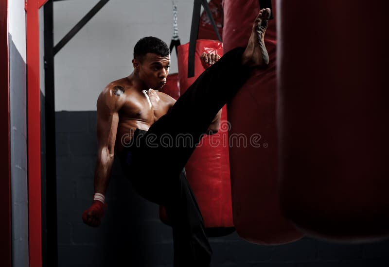 Entraînement au combat image stock. Image du activité - 23112139