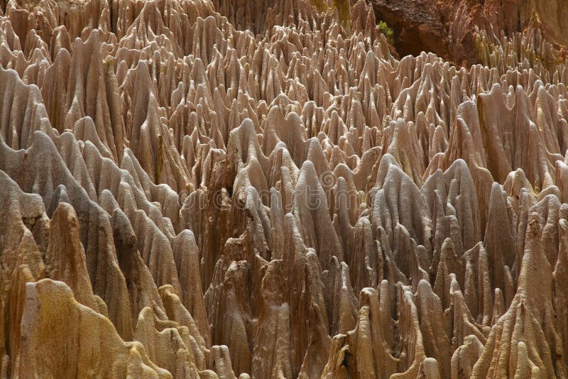 Formations Rocheuses Dans Le Parc National D'Isalo, Madagascar Photo ...