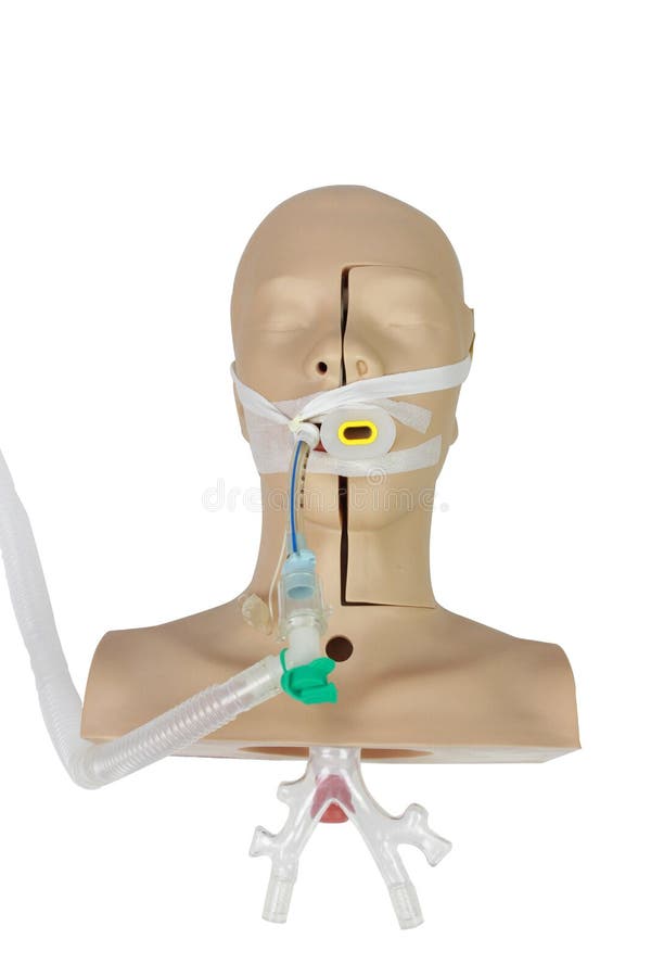 Formation Médicale De Simulation De L'intubation Trachéale V Artificiel ...