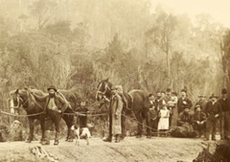 Formation Of Mt Lyell Railway Picture. Image: 221367276