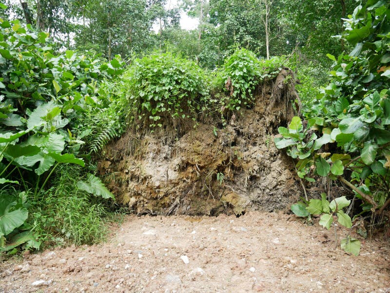 Cave formation stock image. Image of garden, yard, cave - 223071545