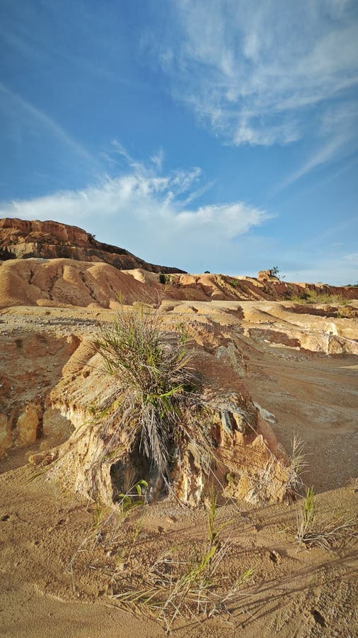 Formation Scene Around the Soil Texture and Pattern of the Limestone ...