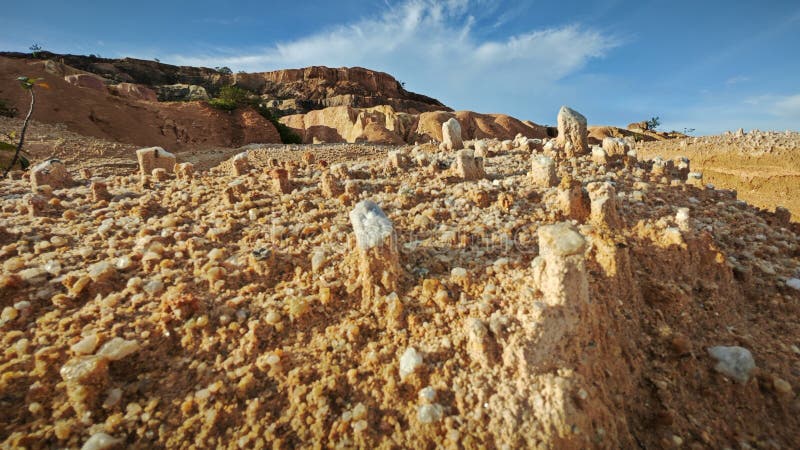 Formation Scene Around the Soil Texture and Pattern of the Limestone ...