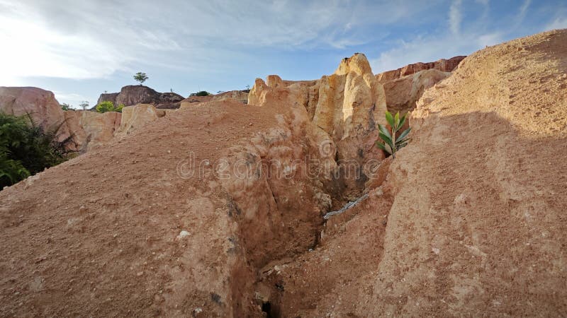 Formation Scene Around the Soil Texture and Pattern of the Limestone ...