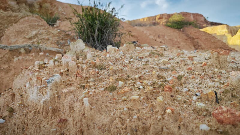 Formation Scene Around the Soil Texture and Pattern of the Limestone ...