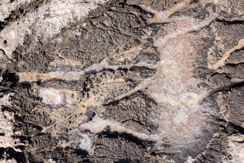 Formation of sea salt stock image. Image of outdoors - 76561461