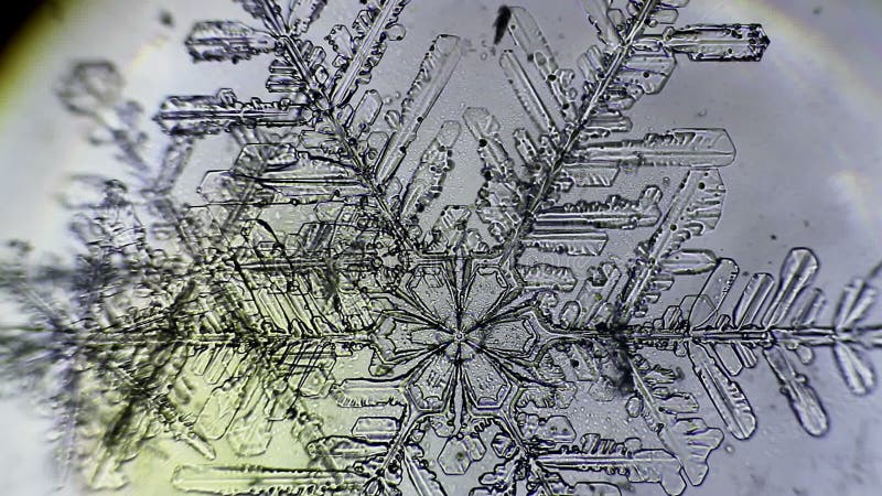 The Formation of Snowflake Crystals Stock Footage - Video of snowflake ...