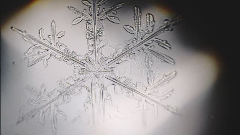 Formation of a Snowflake from a Drop of Water. Top View Under a ...