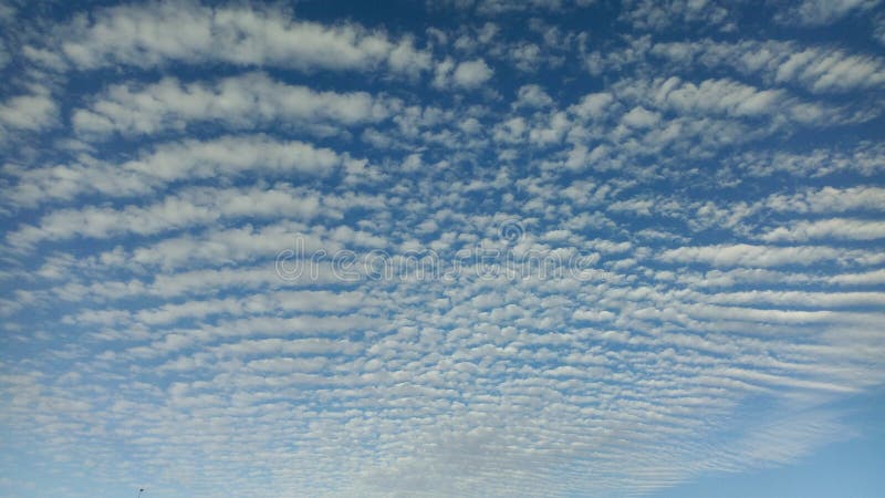 A Formation of White Clouds in the Form of Artistic Ripples in a Bright ...