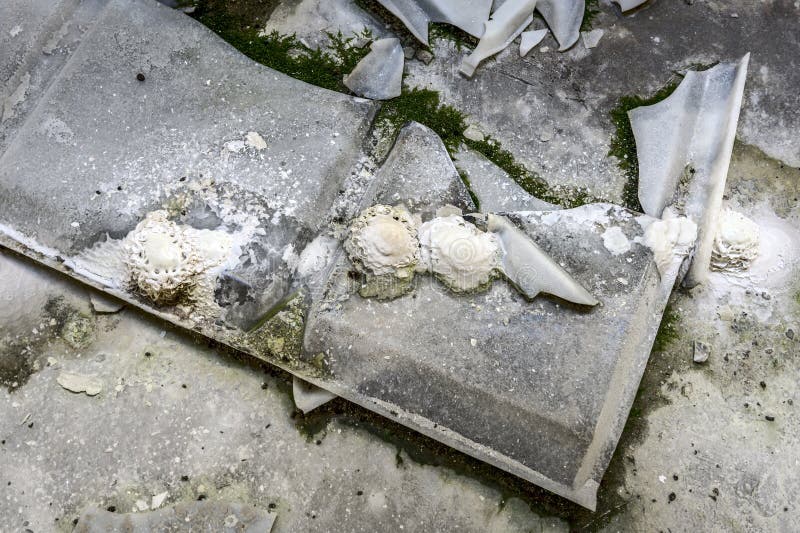 Formations of Calcium Hydroxide on the Concrete Floor of an Abandoned ...