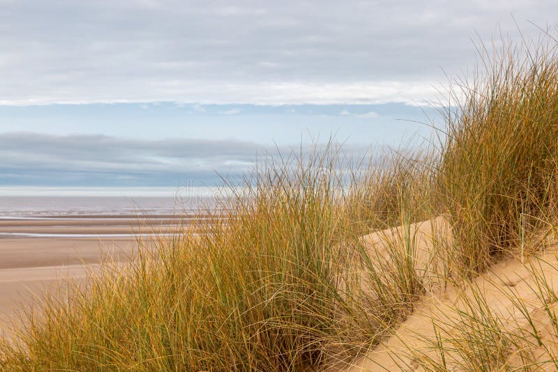 Formby Beach stock image. Image of grass, england, scenery - 171202675