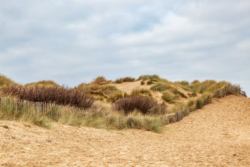 Formby Sand Dunes stock photo. Image of geography, seaside - 135714030