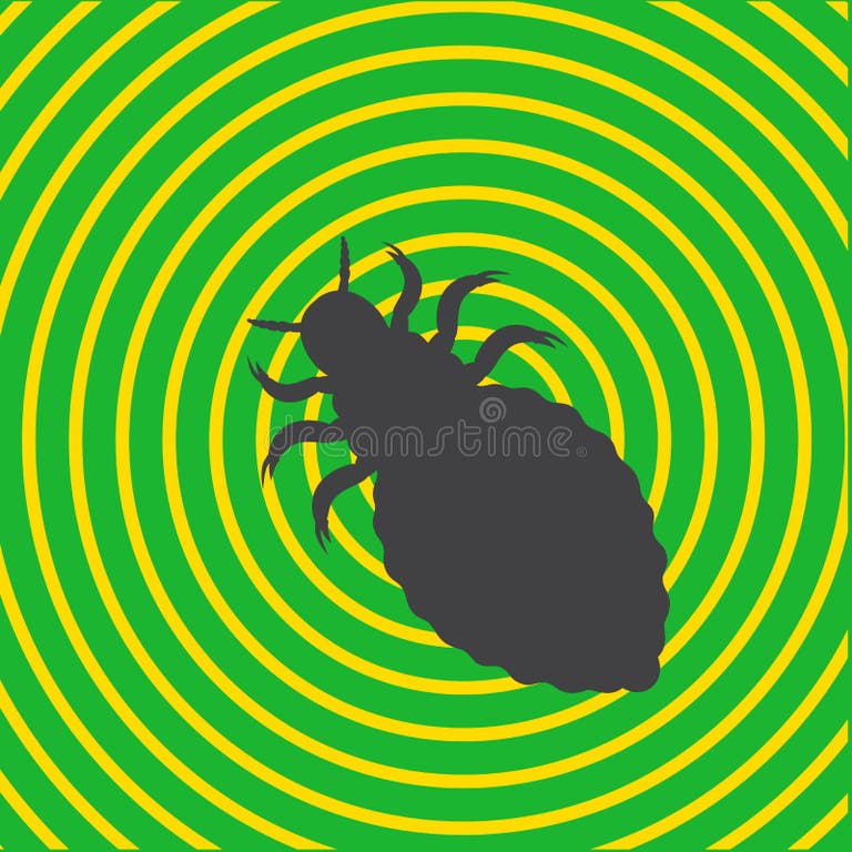 Forme d'Insecte Pou illustration de vecteur. Illustration of larve ...