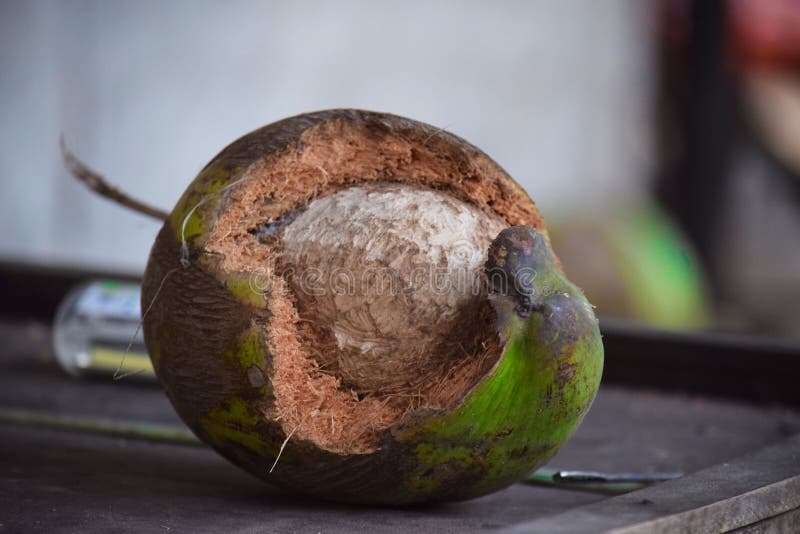 Formed of a Coconut Shell, Rotten Coconut Stock Image - Image of ...