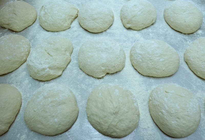 Formed and Floured Dough Put on Tray for Baking Buns, Bakery Stock ...