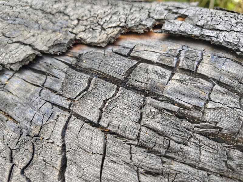 Former Burn Marks Stock Photos - Free & Royalty-Free Stock Photos from ...