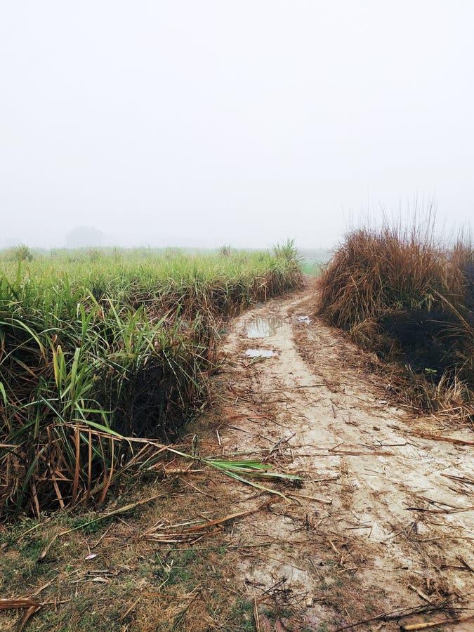 Former Form House Village India Stock Photo - Image of form, india ...