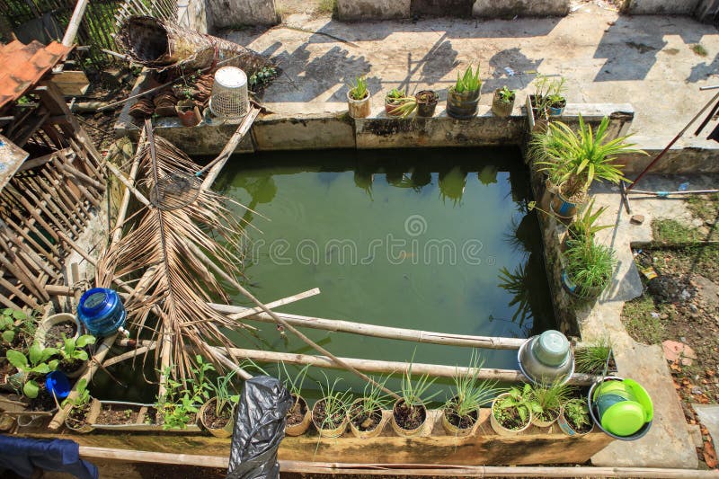 A Former House that Was Converted into a Fish Pond Stock Image - Image ...