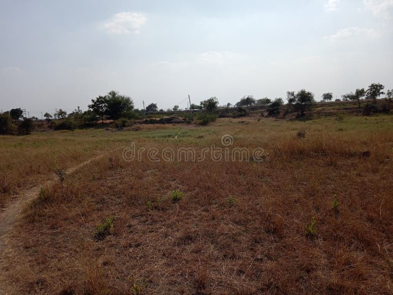 Former Land in Summer Season Its Totally Dry Beacuse of Its Water ...