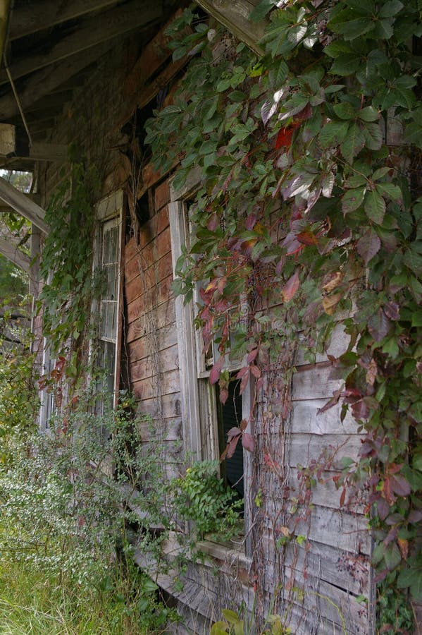 Missing Window Panes in an Abandoned Building Stock Image - Image of ...