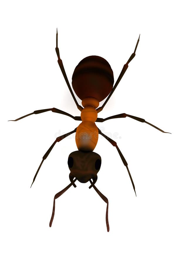 Formica rufa stock illustratie. Illustration of mier - 35785568