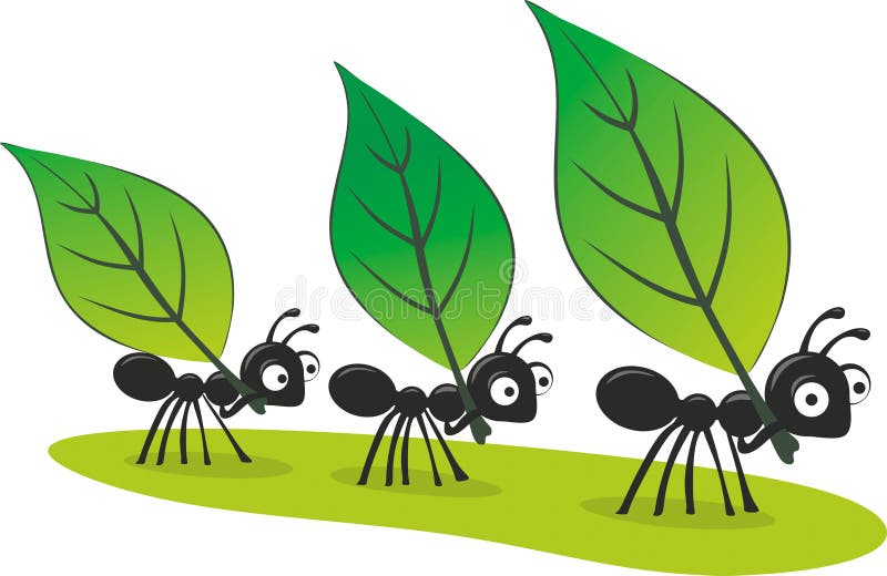 Formiche Del Fumetto Di Vettore Illustrazione Vettoriale ...
