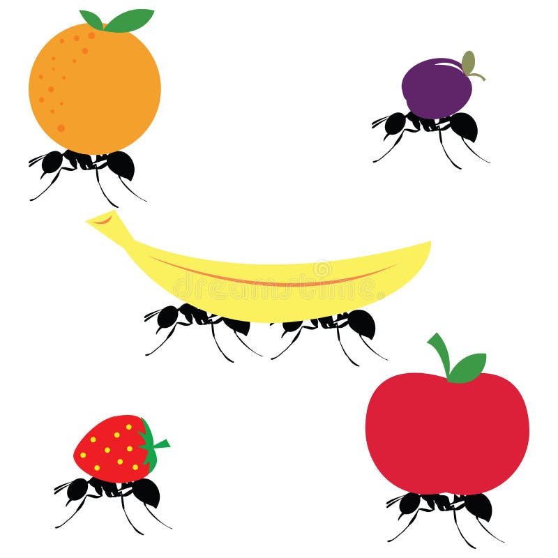 Formiche Che Trasportano La Frutta Differente Illustrazione Vettoriale ...