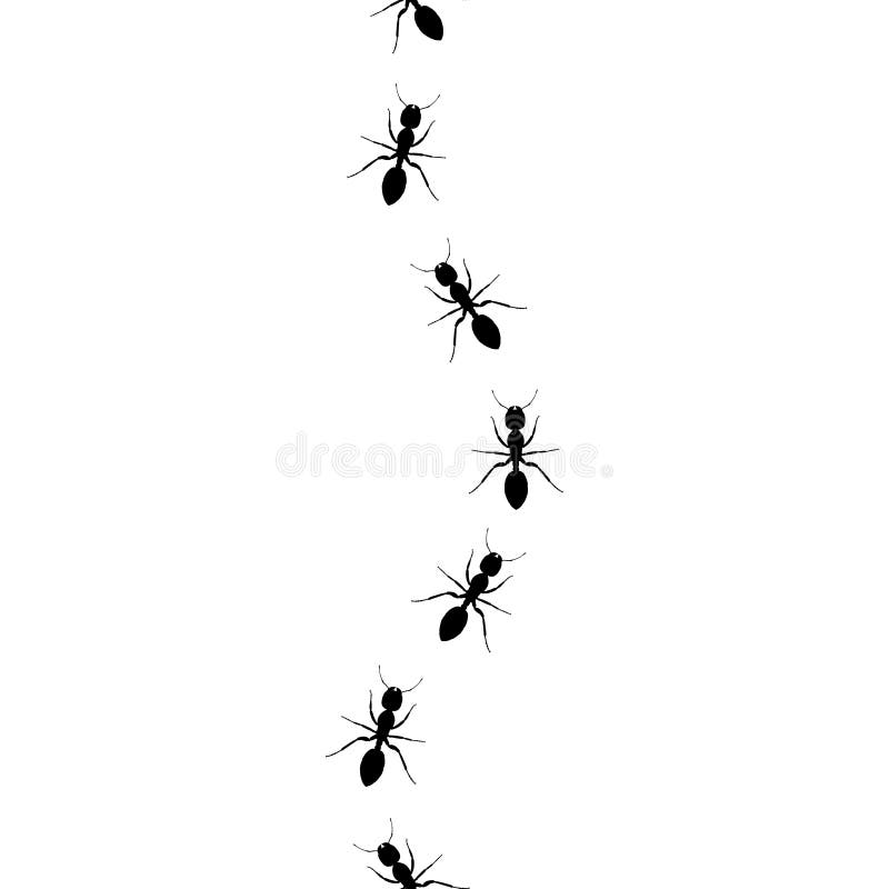 Formigas andando em linha. ilustração do vetor. Ilustração de formiga ...