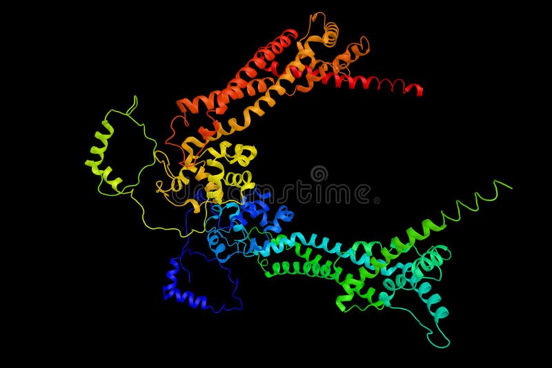 Formin Homology 2, a Formin Domain. Formins are a Group of Proteins ...
