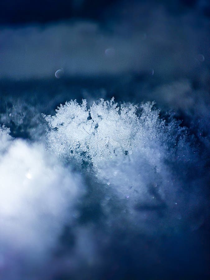 Forming of frost spikes stock photo. Image of forming - 229747292