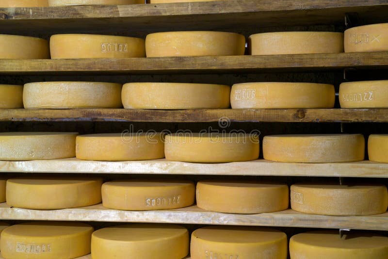 Forms of cheese ripening stock image. Image of milk, storage - 22262729