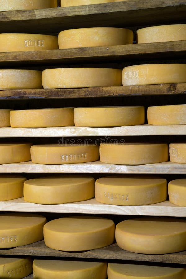 Cheese in Ripening Cellar on Familiar Industry Stock Image - Image of ...