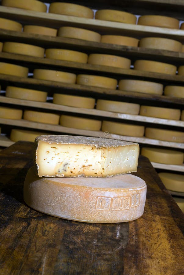 Forms of cheese ripening stock image. Image of milk, storage - 22262729