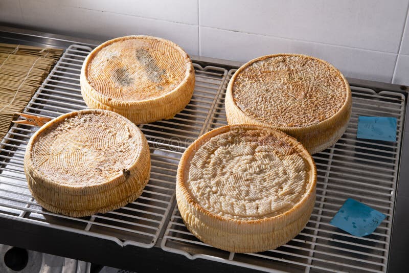 Forms of Cheese on the Shelf for Maturing Stock Image - Image of ...