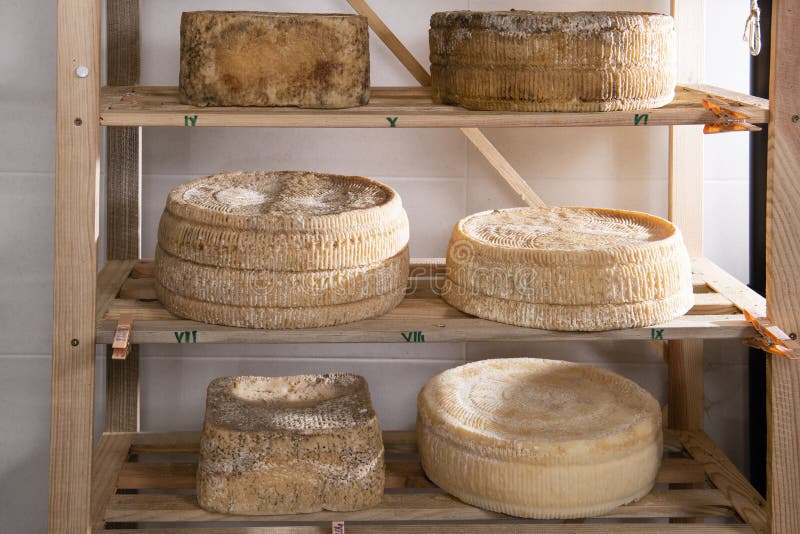Forms of Cheese on the Shelf for Maturing Stock Image - Image of maker ...