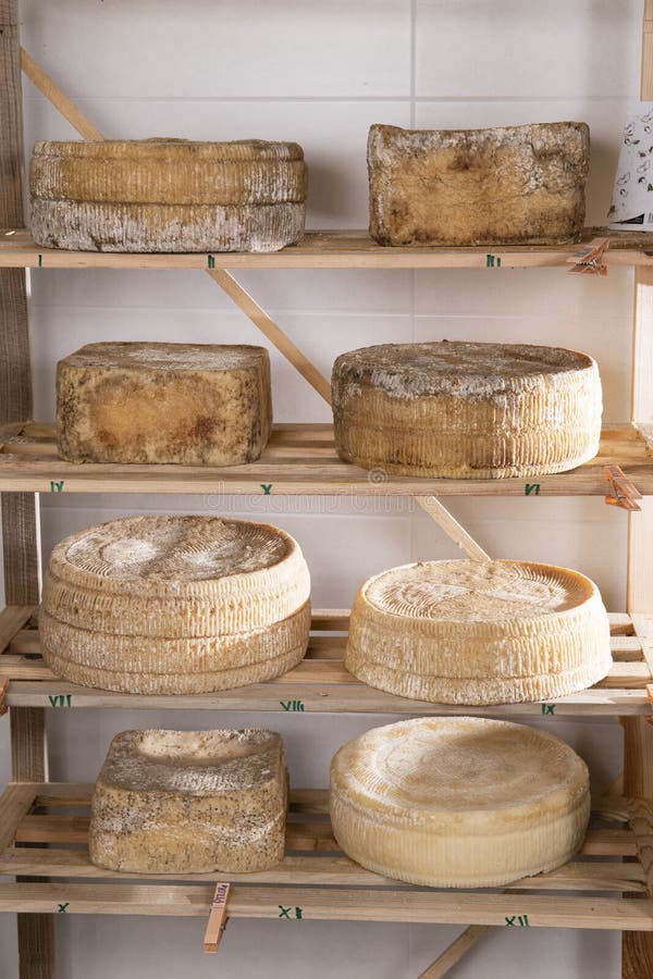 Forms of Cheese on the Shelf for Maturing Stock Image - Image of ...
