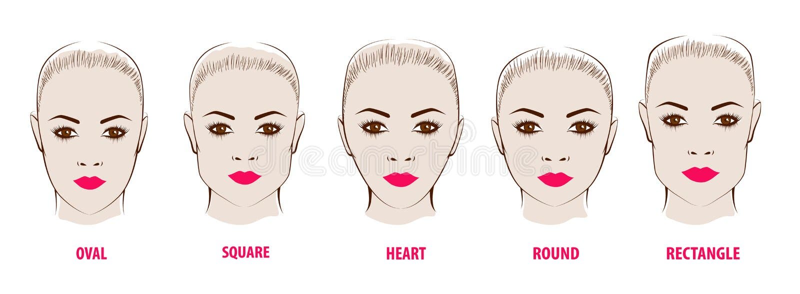 Blush for Every Woman Face Shape Stock Vector - Illustration of oblong ...