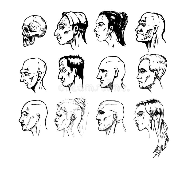 Forms of a Male and Female Face Stock Vector - Illustration of hand ...