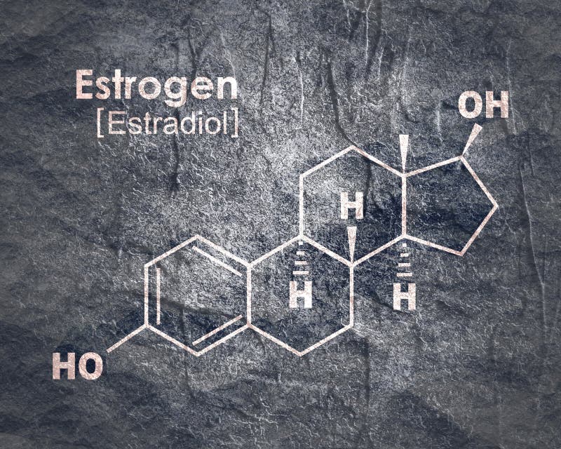 Hormone Estrogen Estradiol Oestradiol Structural Chemical Formula And