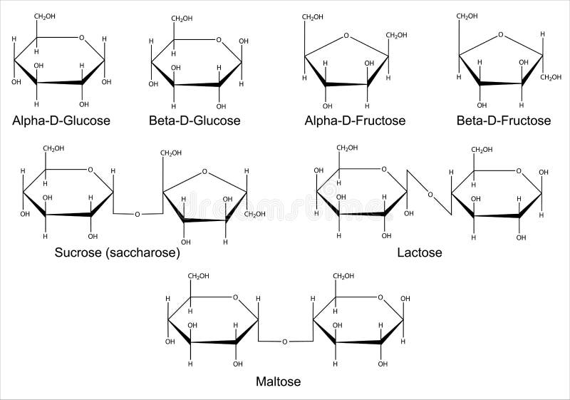 Formule Di Struttura Dei Saccaridi Principali Illustrazione Vettoriale ...
