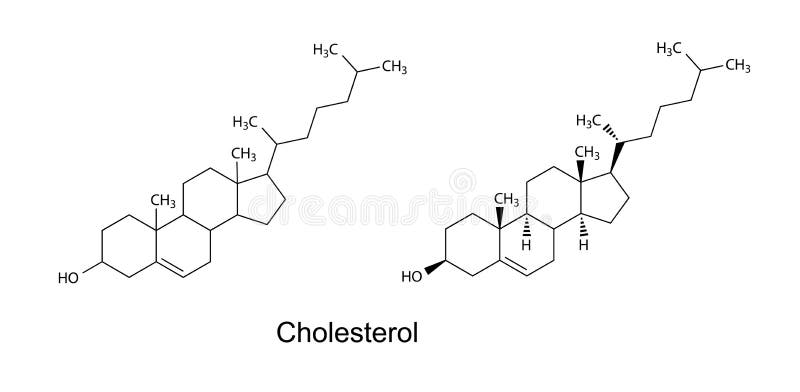 Formule Structurale Ale Moleculei De Colesterol Stock Vector ...