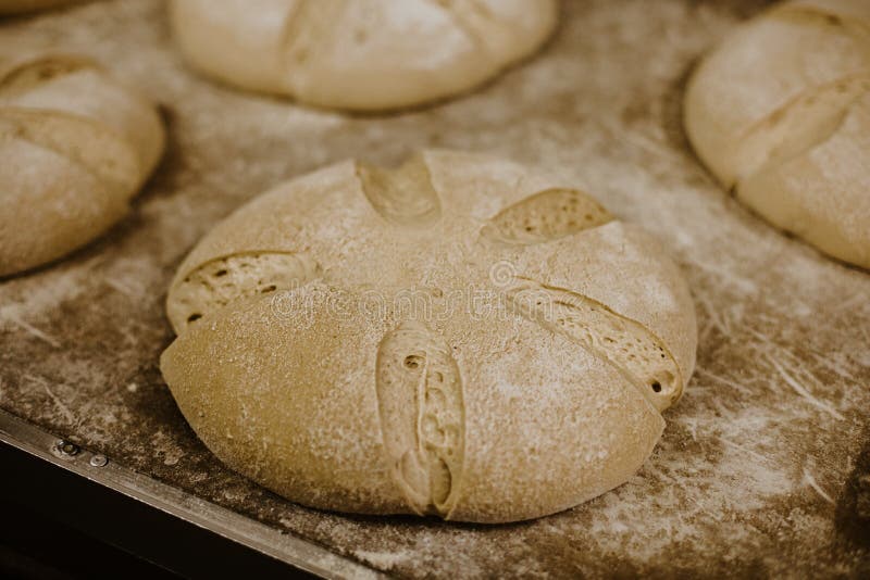 Forno Privato Forno Del Pane Produzione Di Cocendo Nel Fabbricazione ... Forno Privato Forno Del Pane Produzione Di Cocendo Nel Fabbricazione ...