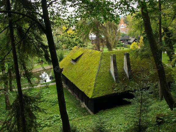 Forrest house stock image. Image of green, cottage, wood - 22325869