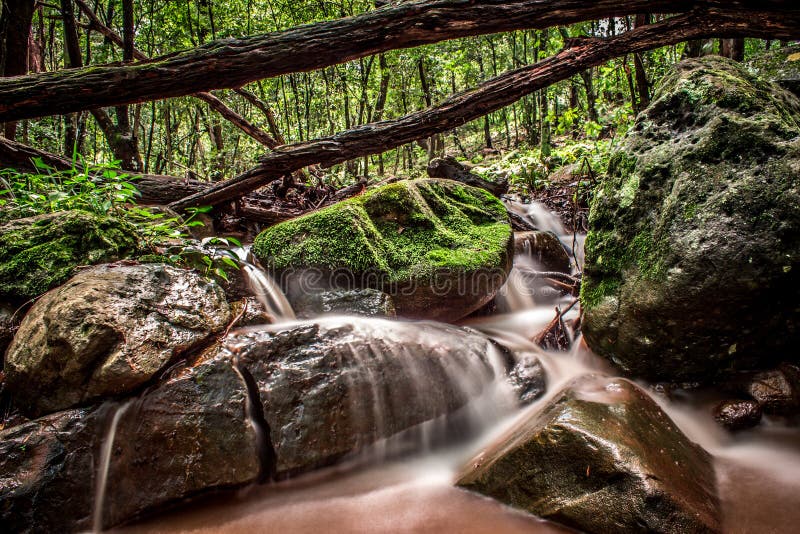 Forrest Stream with Moss on the Rocks Stock Photo - Image of rocks ...