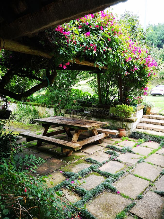 Forrest table stock photo. Image of table, patio, forrest - 138389942